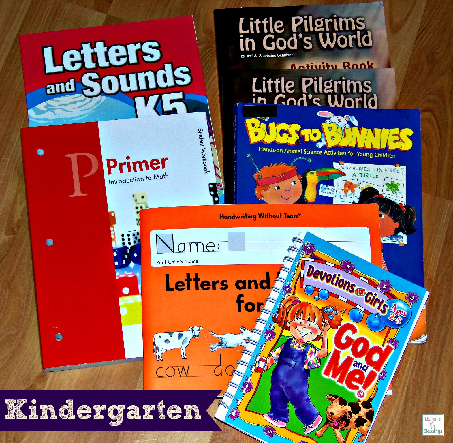 Our 2014 2015 Homeschool Curriculum Our 2014 2015 Homeschool Curriculum