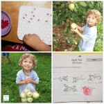 Fall Apple Crafts For Toddlers/Preschoolers