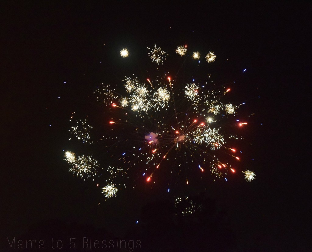 fireworks park - Mama to 6 Blessings